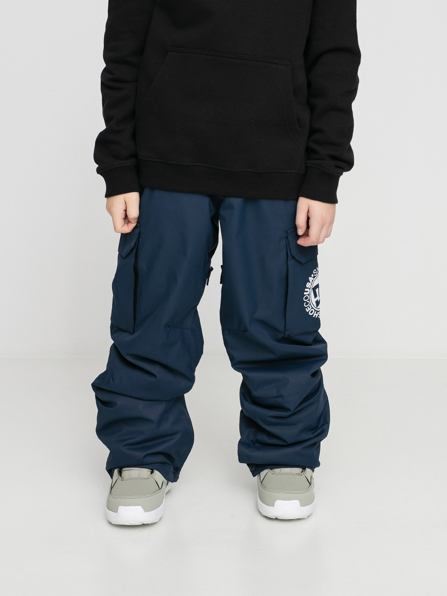 DC Banshee Snowboard pants - navy blue (black iris)