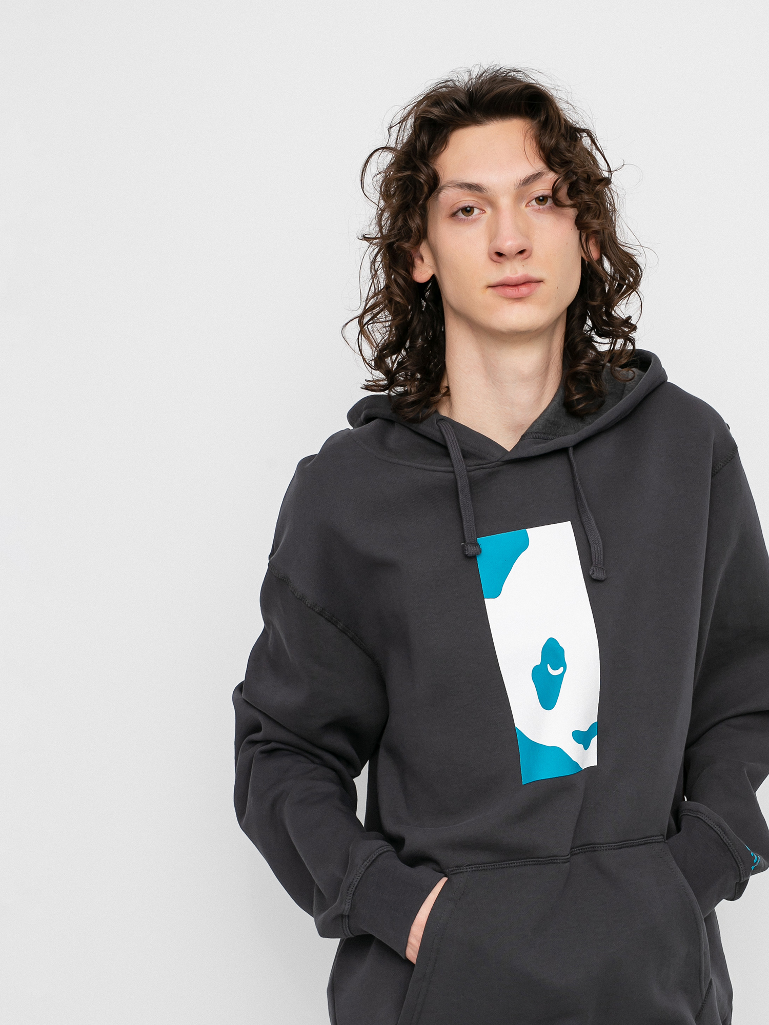 Enjoi Box Panda HD Hoodie (vintage black)