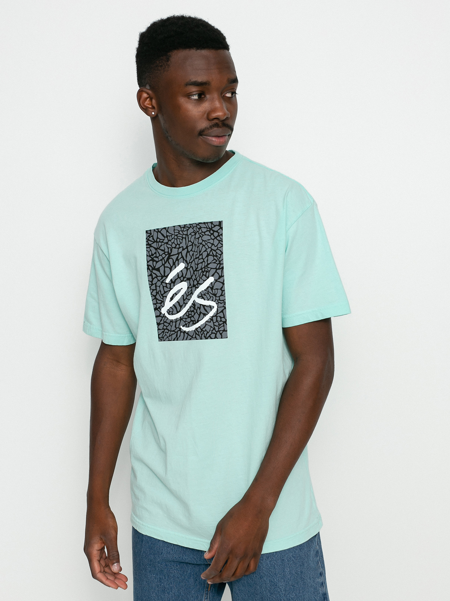 eS Es Elephant Block T-shirt (mint)