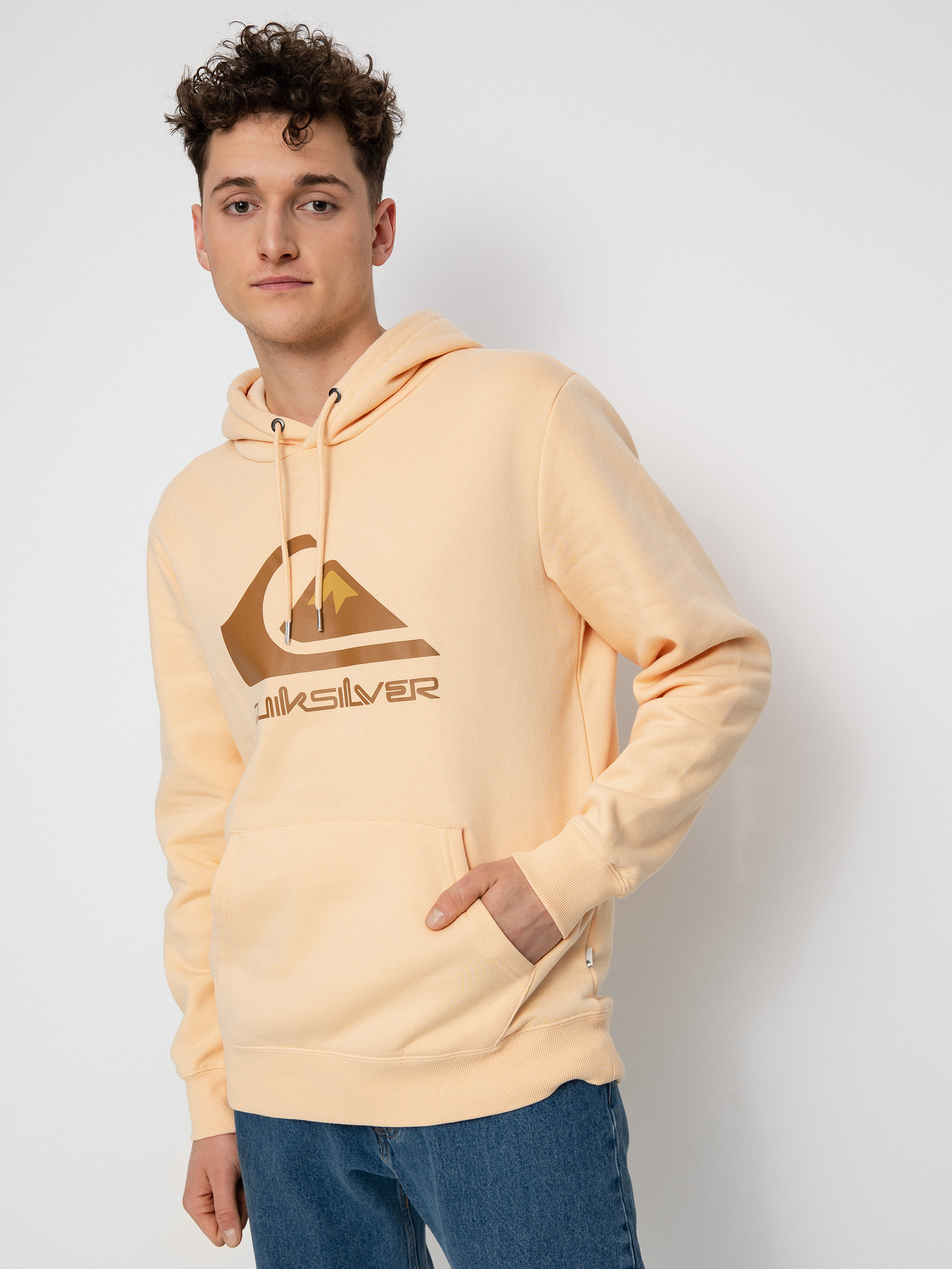 Quiksilver Big Logo HD Hoodie (grape leaf)