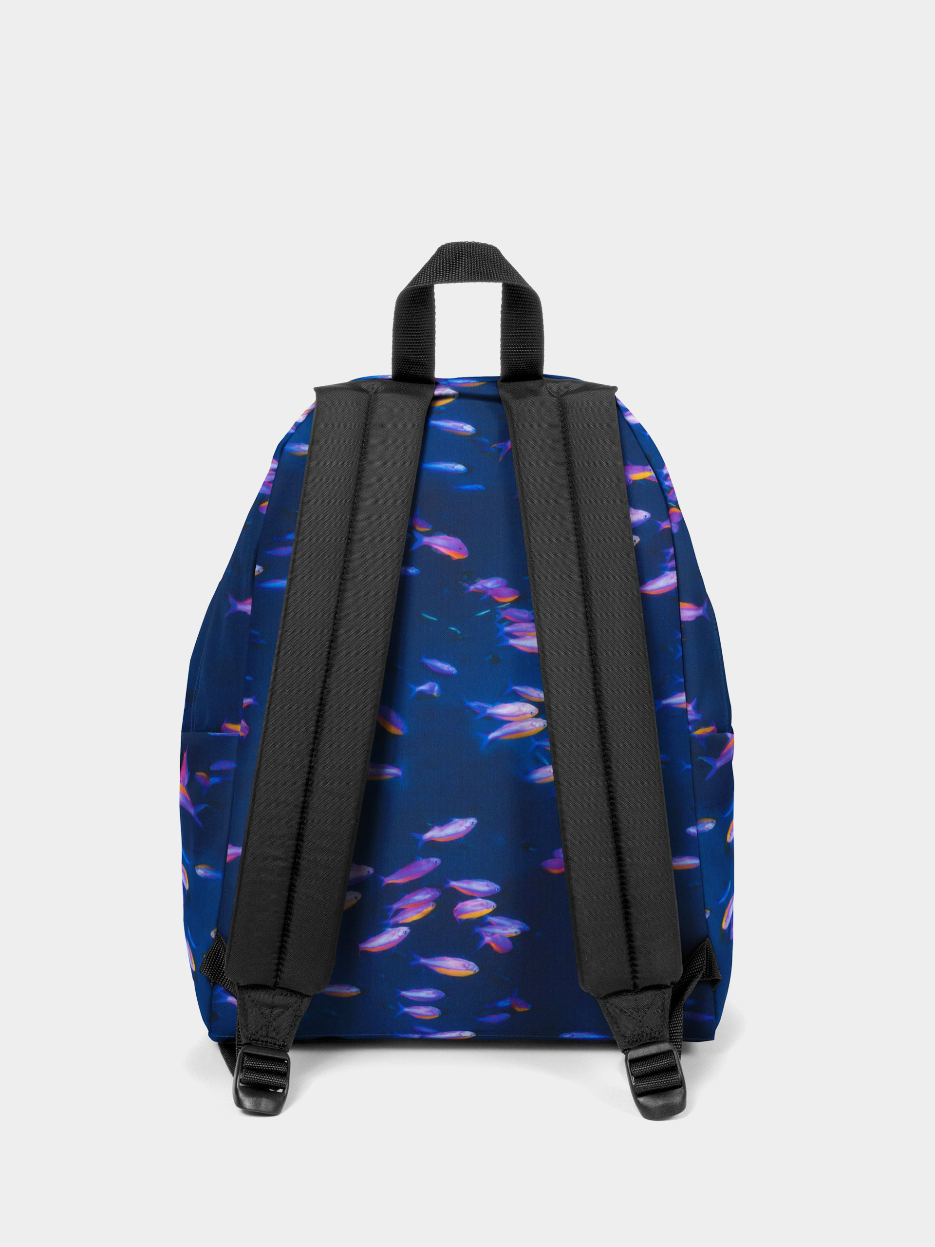 Eastpak X National Geographic Padded Pak R Backpack (fish)