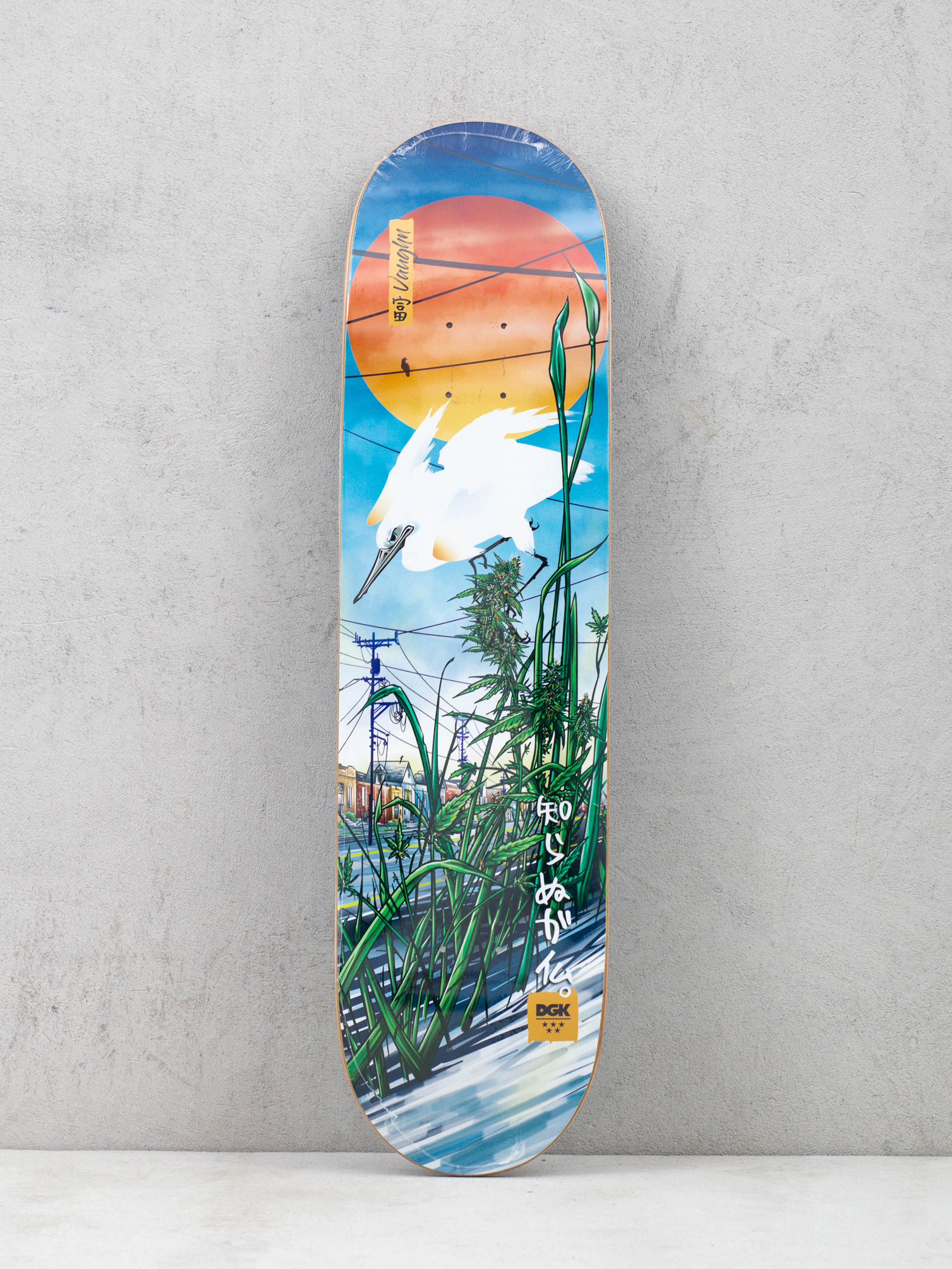 DGK Prosperity Vaughn Deck (assorted)