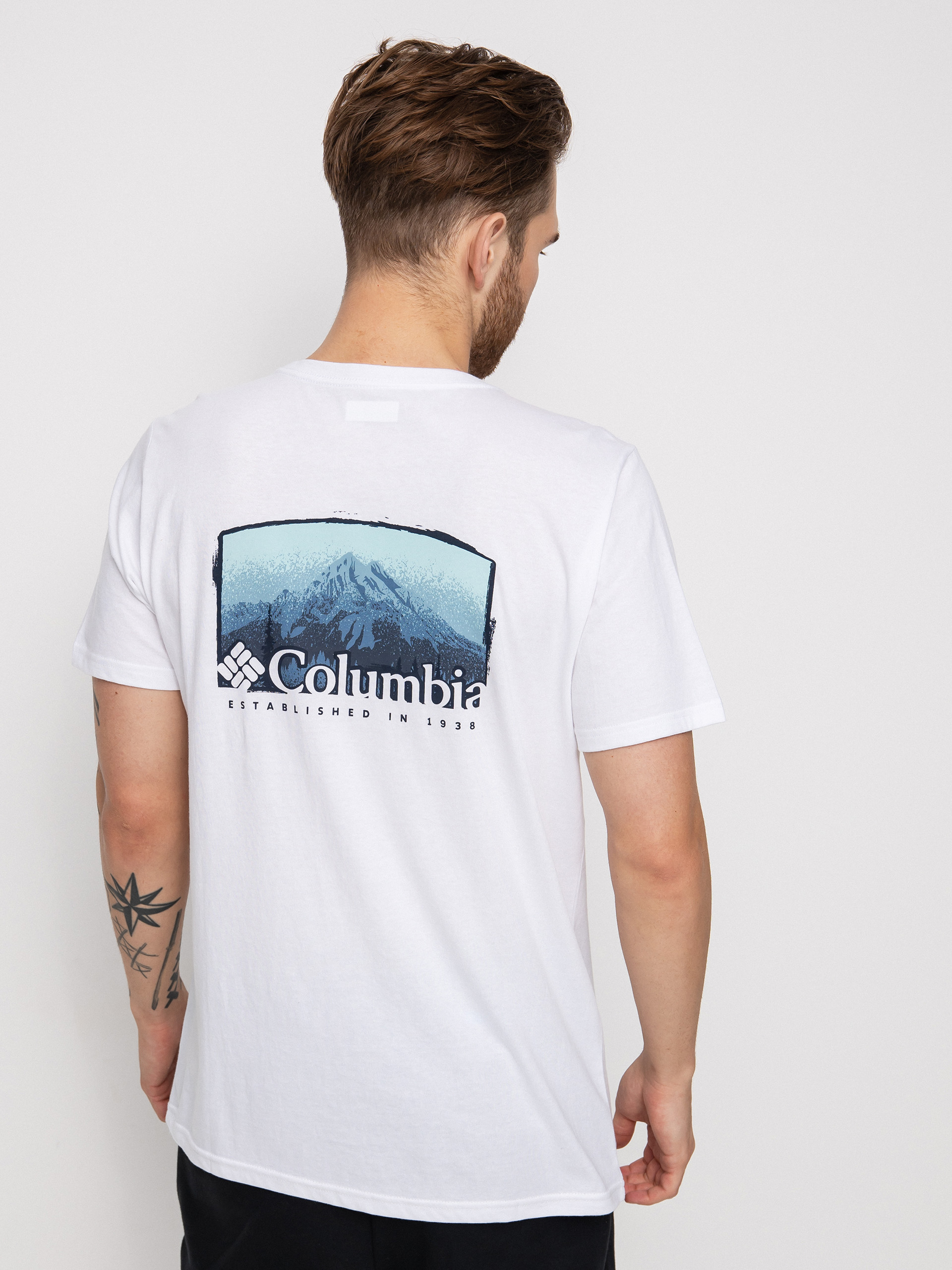Columbia Rapid Ridge Back Graphic II T-shirt - white (white foggy ha)