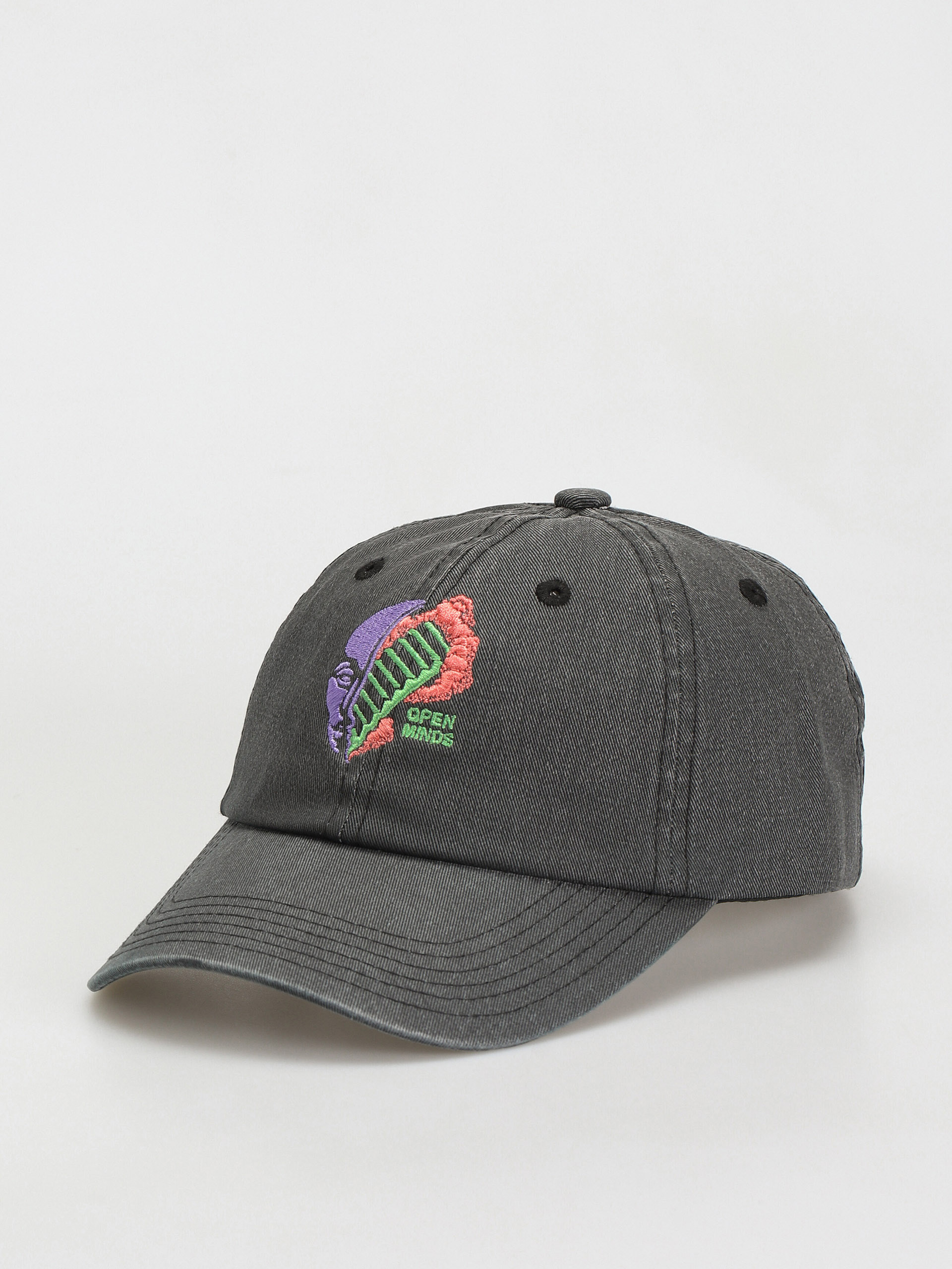 Element Fluky Jake Cap (black rinse)