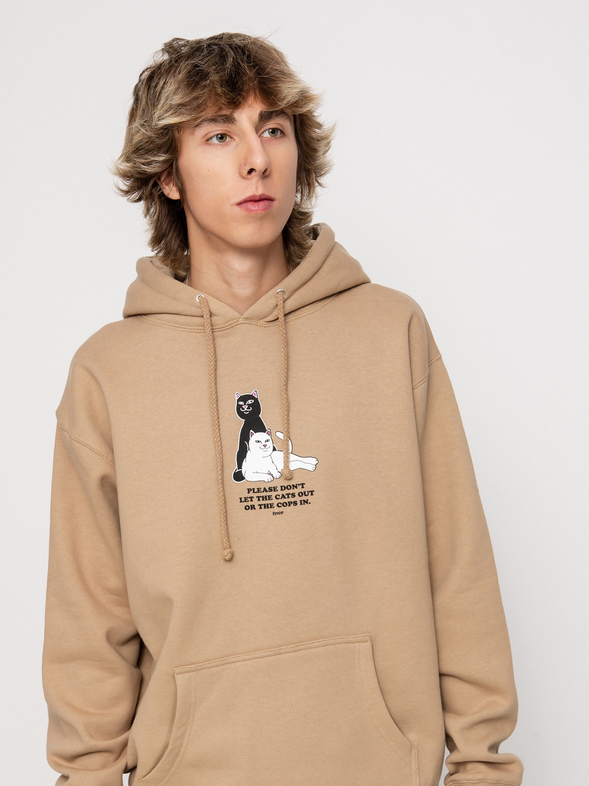 RipNDip Keep The Cats In HD Hoodie - Beige (sandstone)