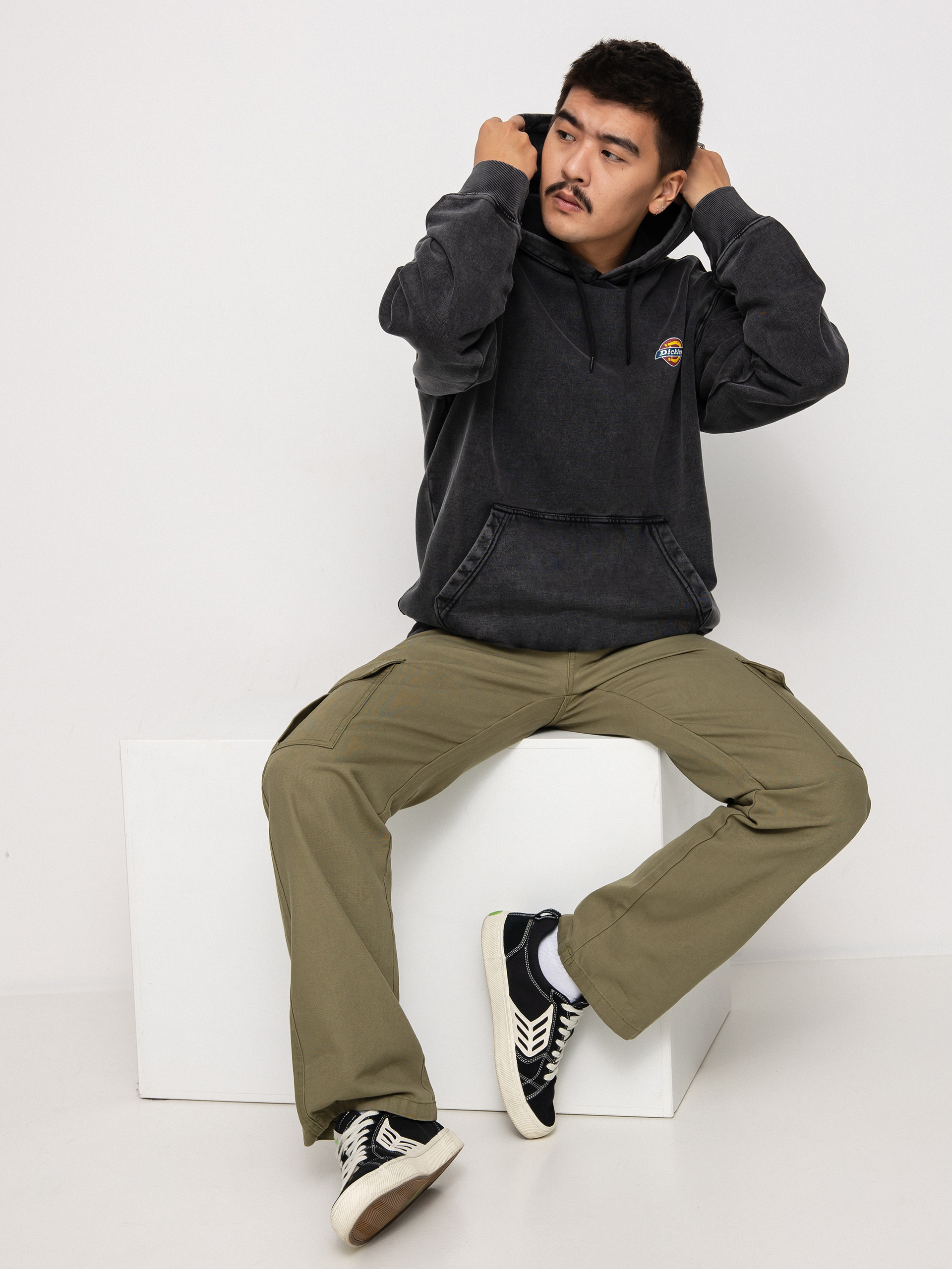 Dickies Icon Washed HD Hoodie - black (black)