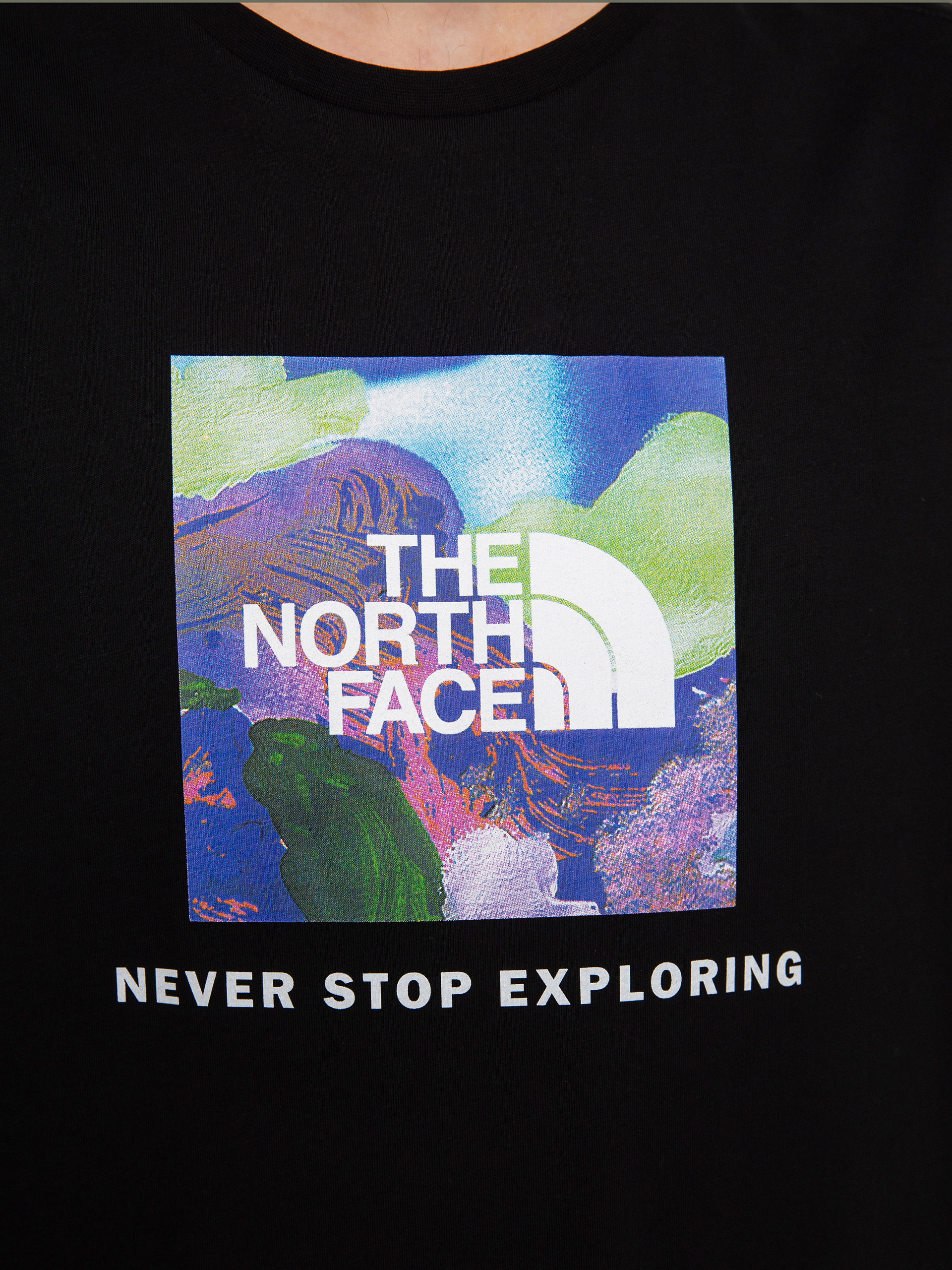 The North Face Graphic T-shirt - black (tnf black)