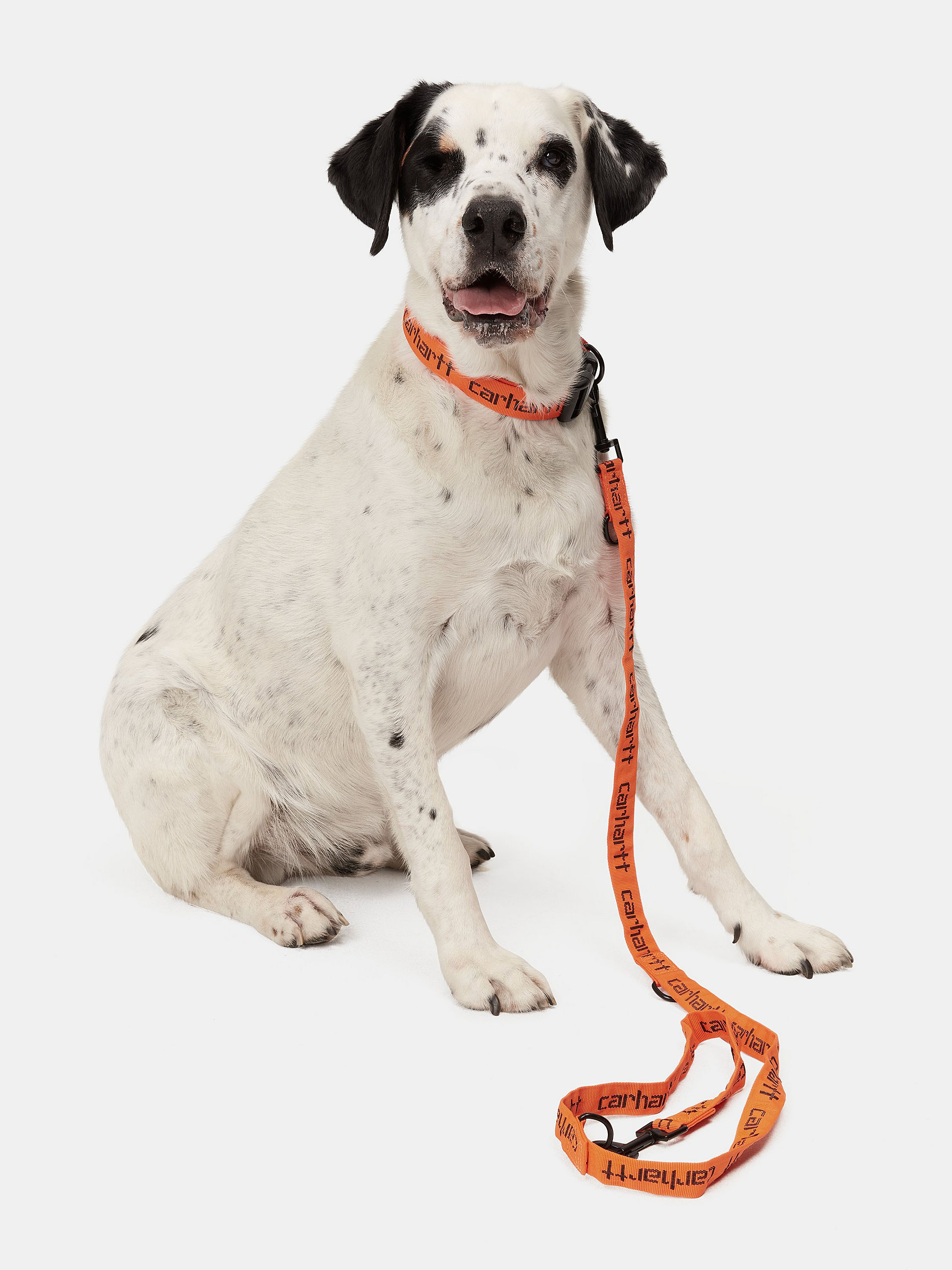 Carhartt WIP Script Dog Leash & Collar (carhartt orange/black)