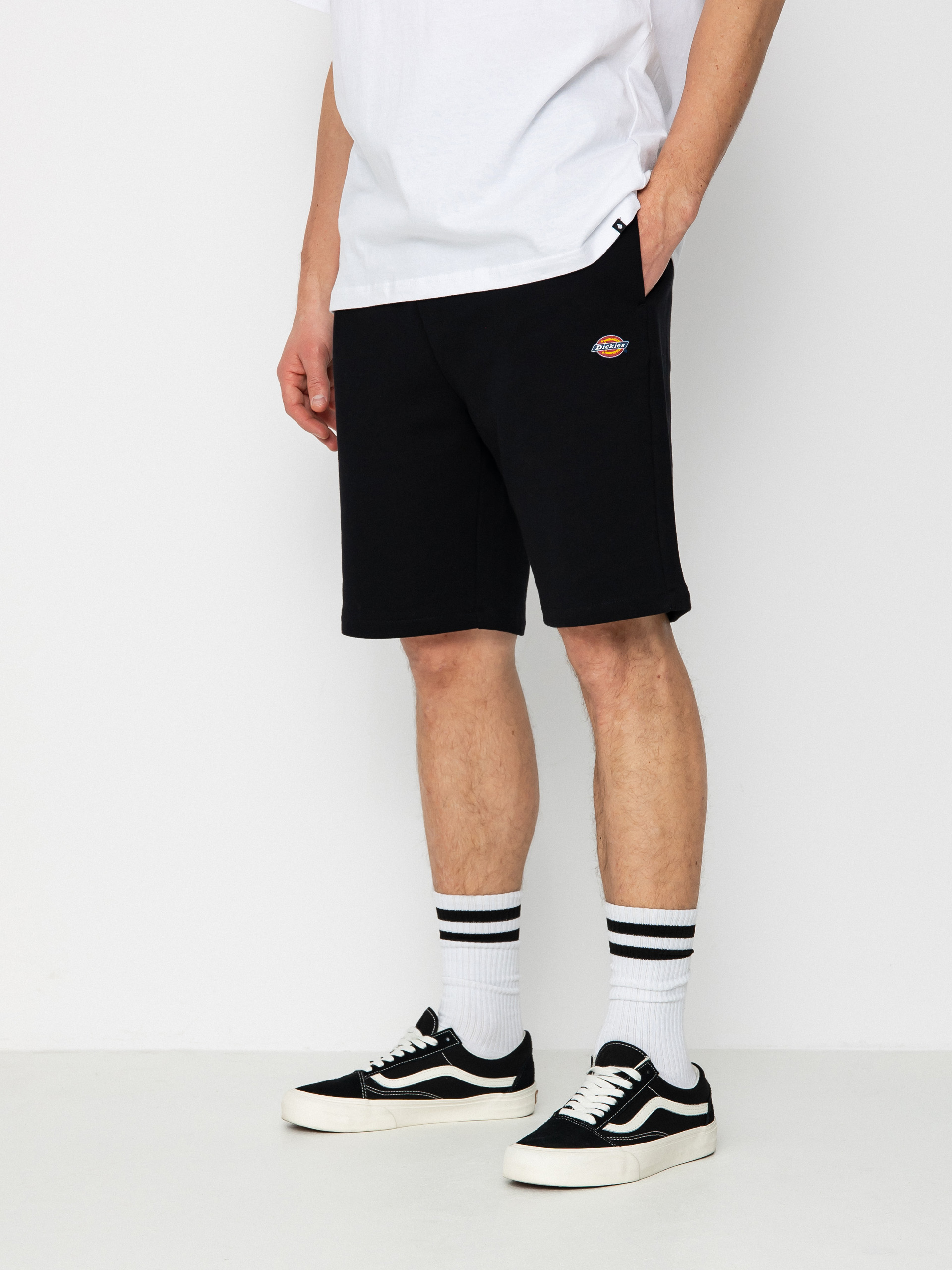 Dickies Mapleton Shorts - black (black)