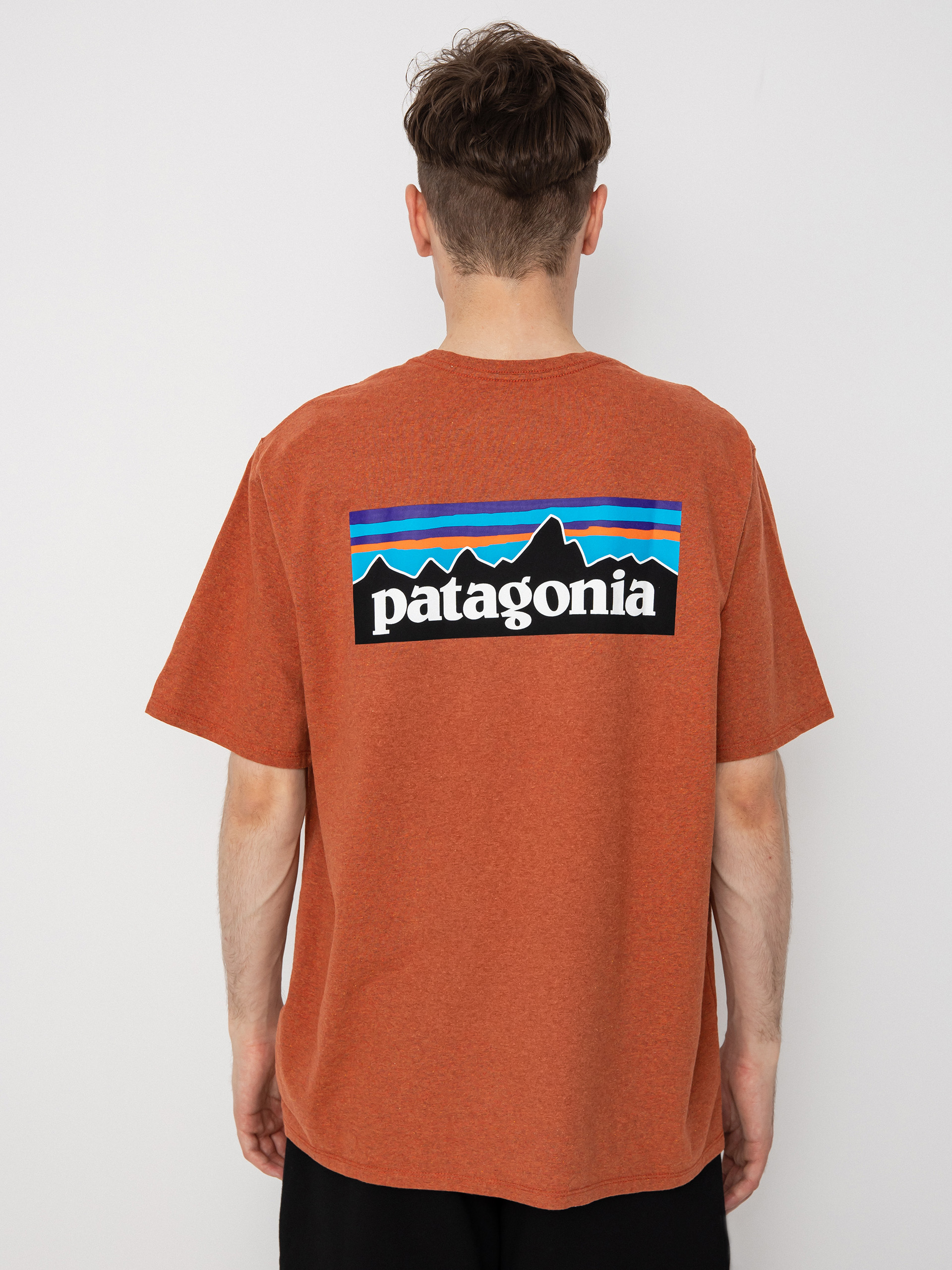 Patagonia P 6 Logo Responsibili T-shirt - brown (quartz coral)