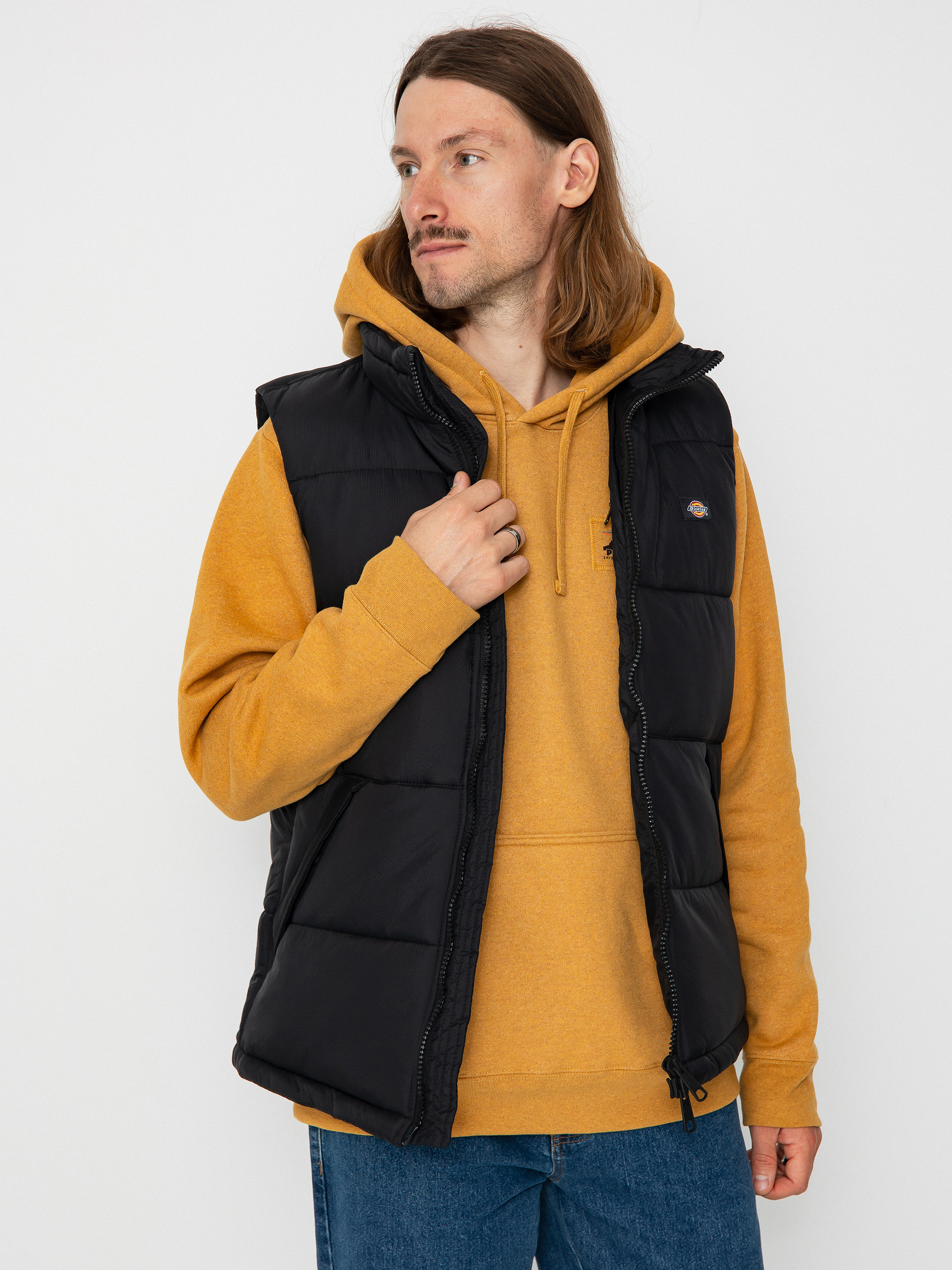 Dickies Waldenburg Vest - black (black)