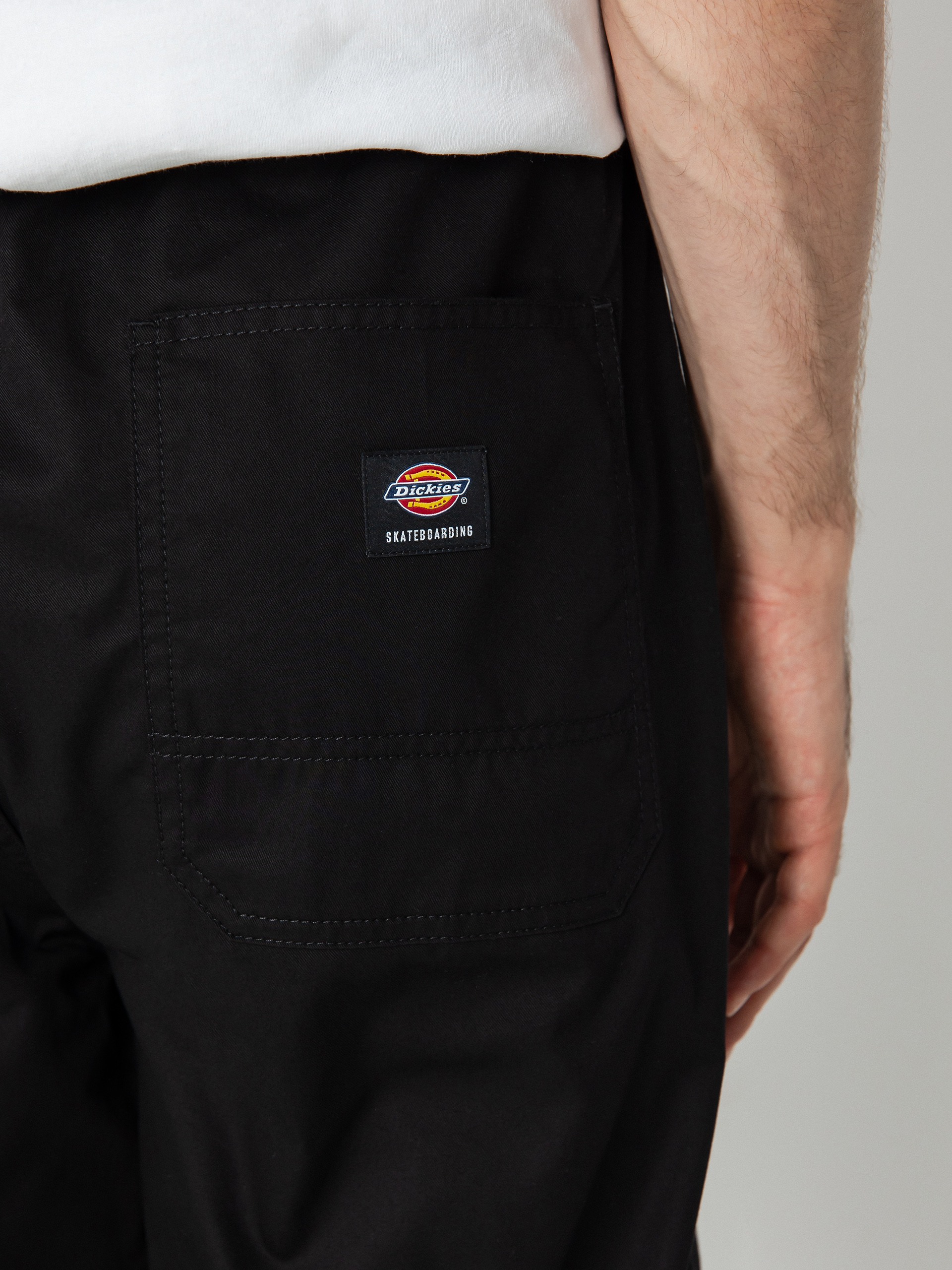 Dickies Mount Vista Pants (black)