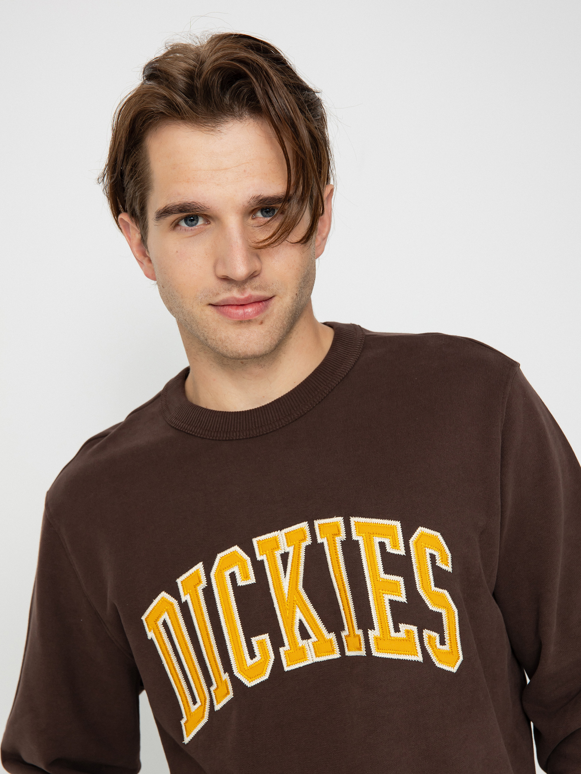 Dickies Aitkin Sweatshirt Java