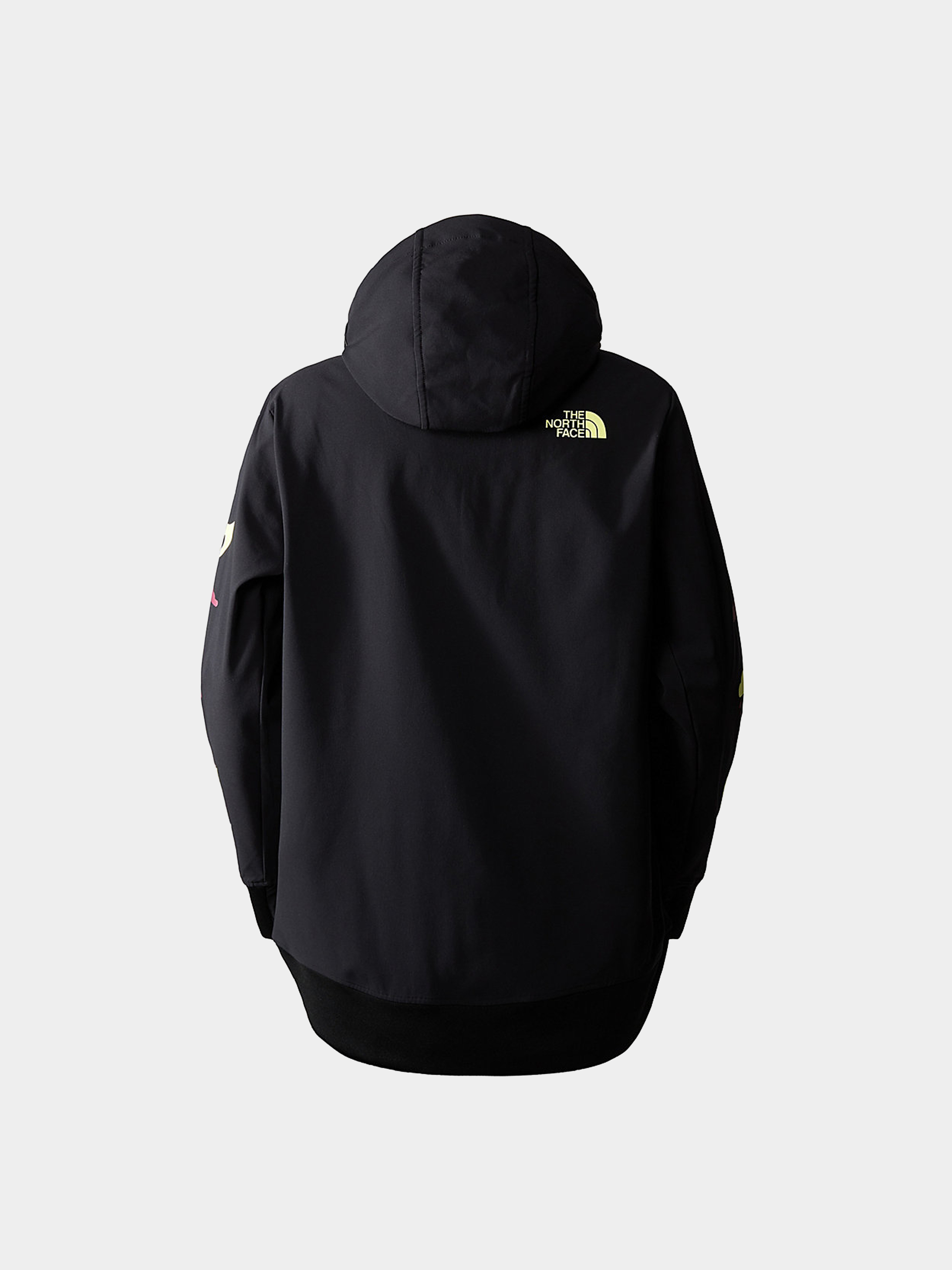 The North Face Tekno Logo HD Hoodie (tnf black/sun sprite)