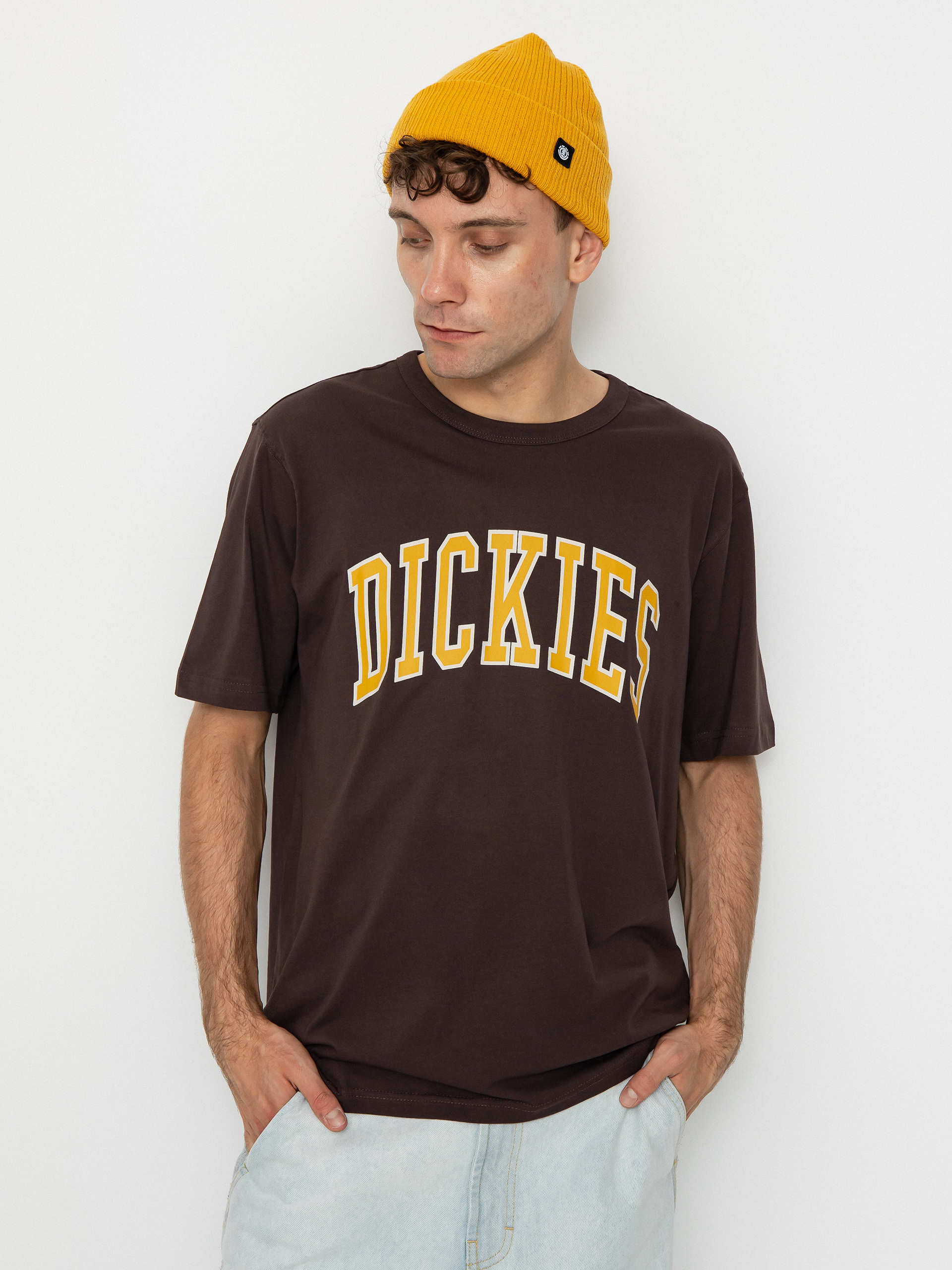 Dickies Aitkin T-shirt - brown (java)