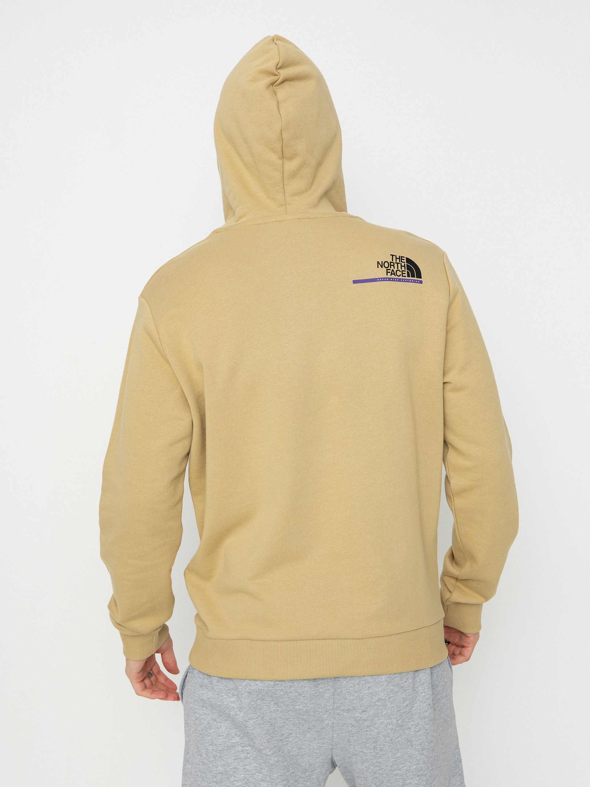 The North Face Tnf Est 1966 HD Hoodie khaki stone