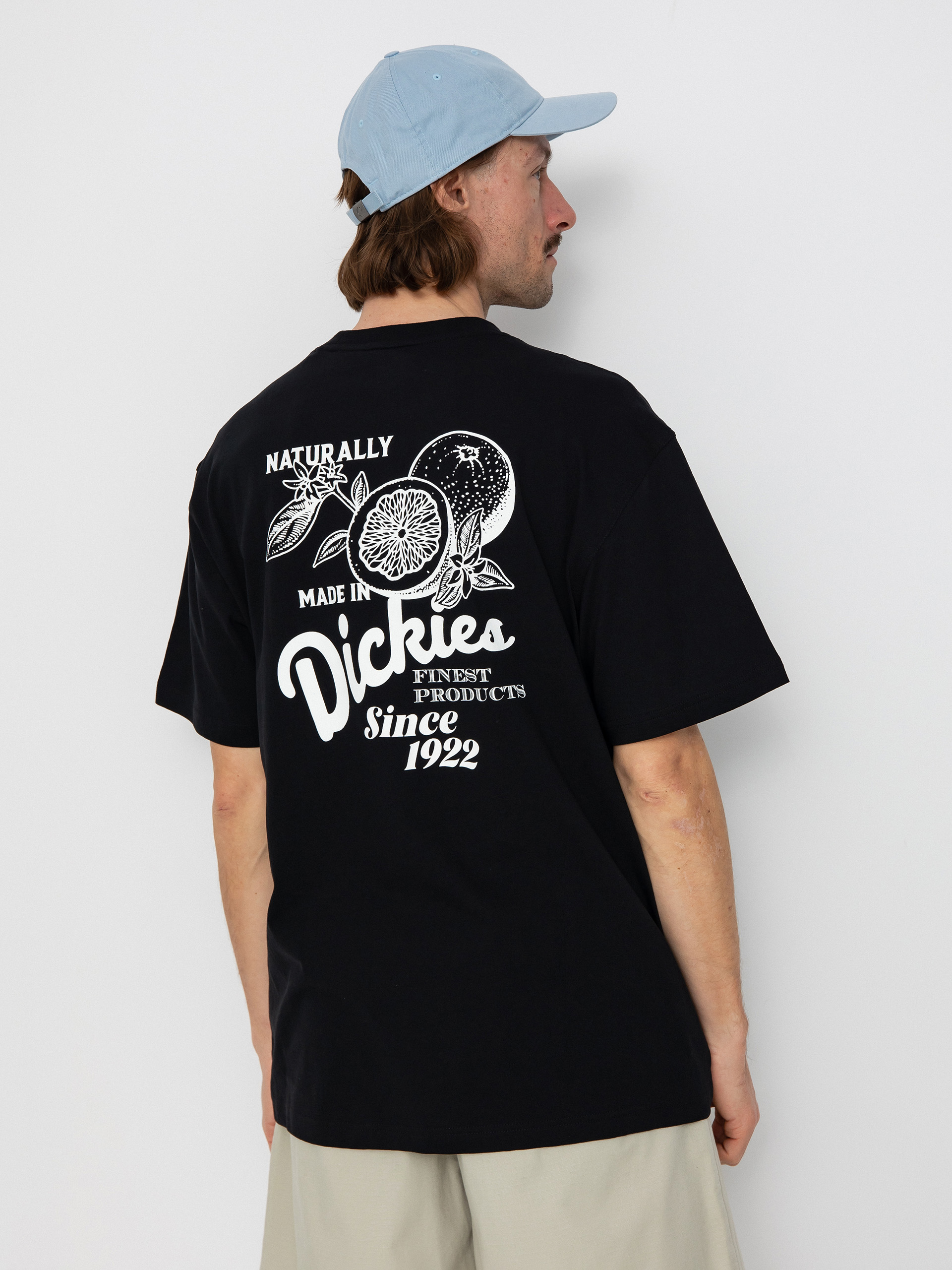 Dickies Raven T-Shirt - black (black)