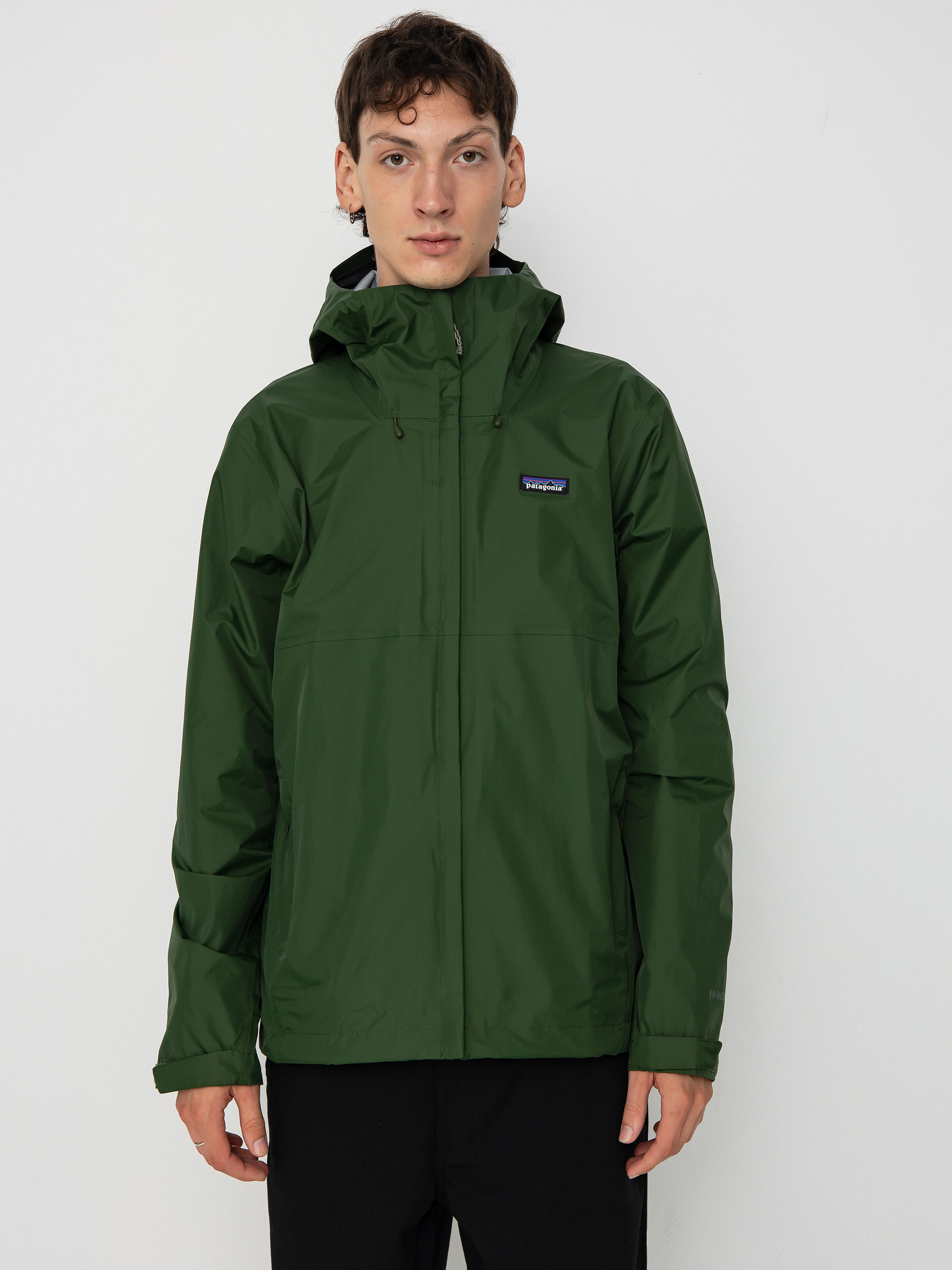 Patagonia Torrentshell 3L Jacket - green (torrey pine green)