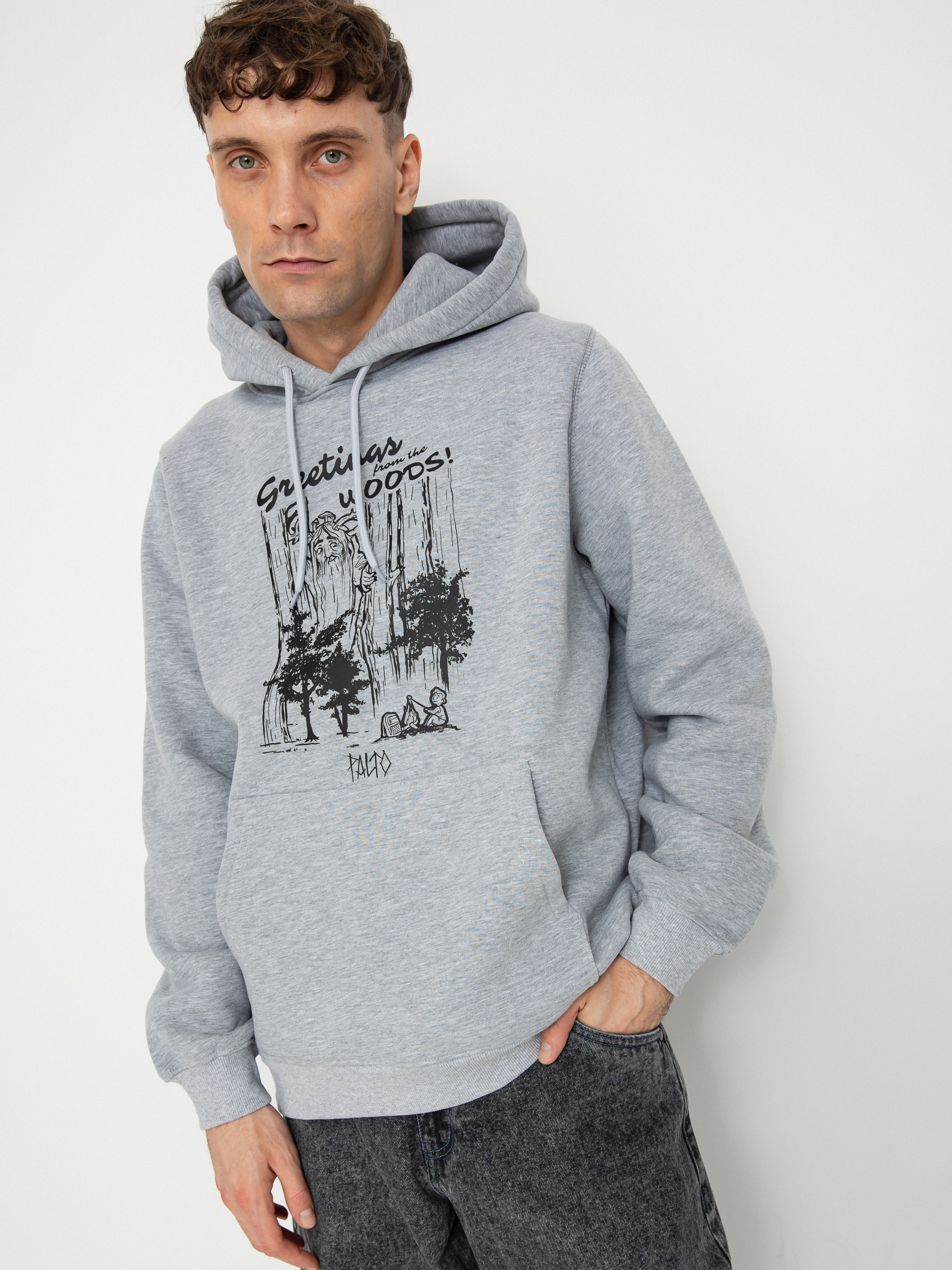 Palto Crypid HD Hoodie - grey (grey)