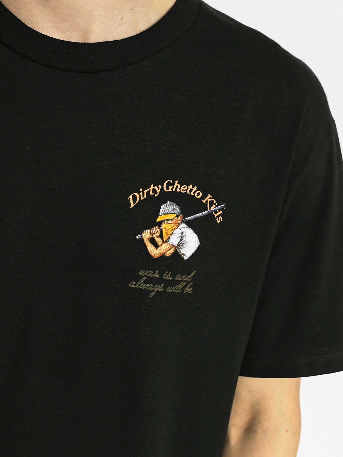 DGK T-shirt Sandlot - black (black)